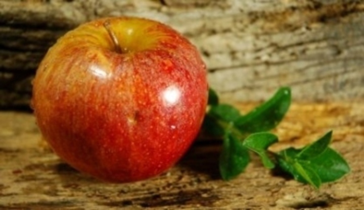 Odrůdy jablek a jejich skladovatelnost - tipy a rady - Chovatelka.cz