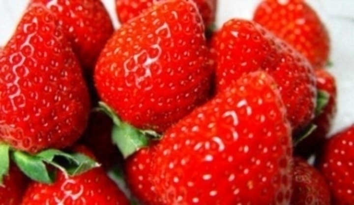 Jahody – zavařování jahod - Chovatelka.cz